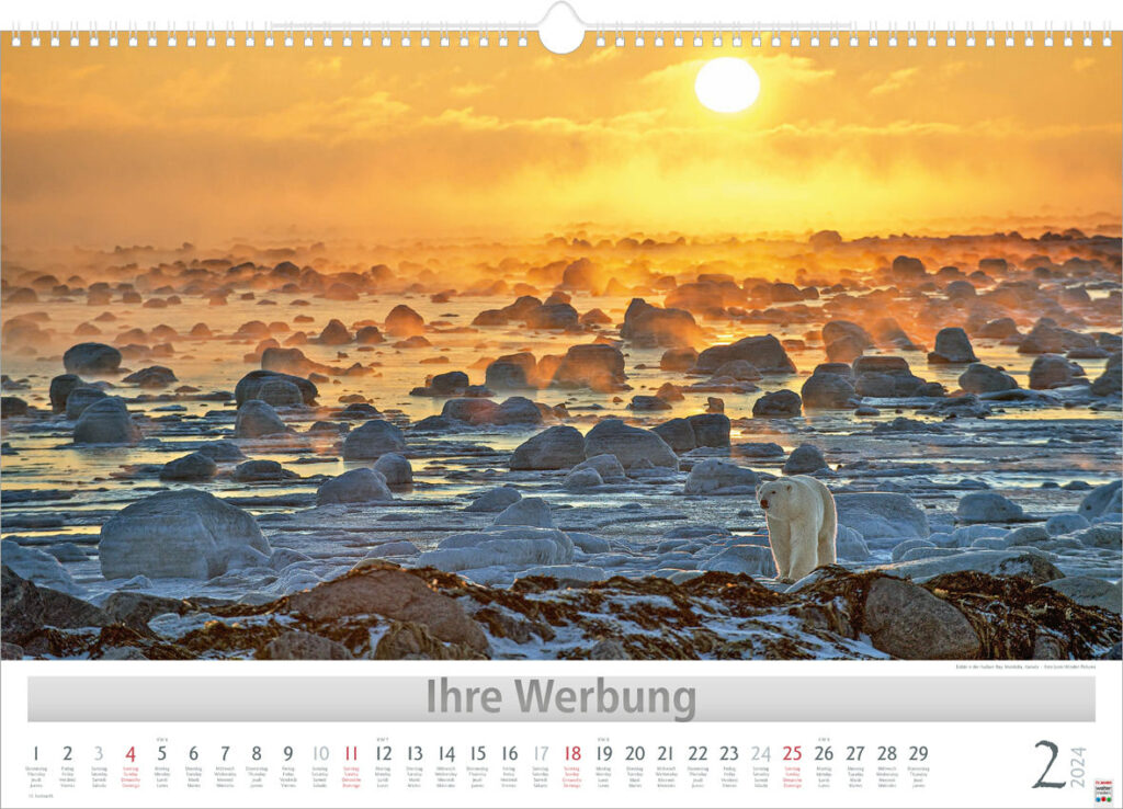 Wunderwerke der Natur - Leykam