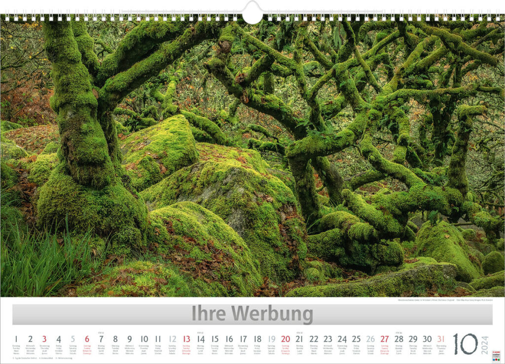 Wunderwerke der Natur - Leykam